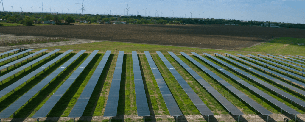 Lightsource bp Starts Up Peacock Solar Project to Help Power Gulf Coast ...