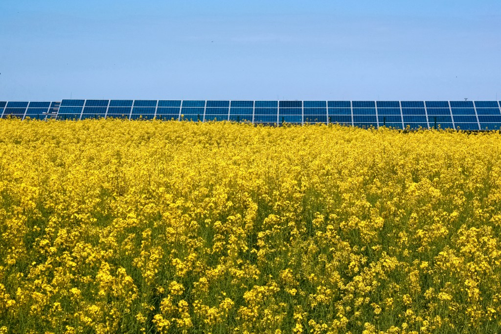 Savion Expands U.S. Portfolio with New Oklahoma Solar Facility ...